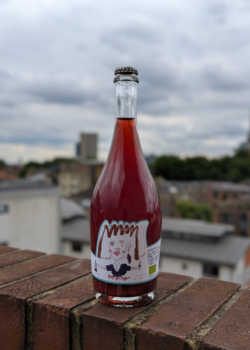 David Kušický - Pustatina PetNat BIO 2022 – Pandemonium Wines